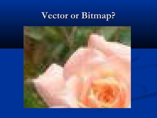 Vector or bitmap | PPT