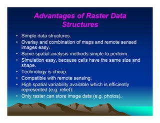ADVANTAGES OF RASTER AND VECTOR DISADVANTAGES OF RASTER AND VECTOR DATA ...