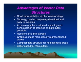 ADVANTAGES OF RASTER AND VECTOR DISADVANTAGES OF RASTER AND VECTOR DATA ...