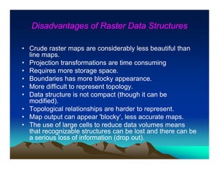 ADVANTAGES OF RASTER AND VECTOR DISADVANTAGES OF RASTER AND VECTOR DATA ...