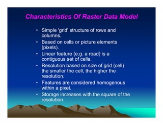 ADVANTAGES OF RASTER AND VECTOR DISADVANTAGES OF RASTER AND VECTOR DATA | PDF