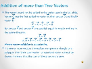 Vectors - A Basic Study | PPSX