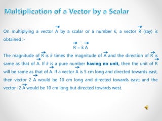 Vectors - A Basic Study | PPSX