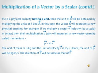 Vectors - A Basic Study | PPSX