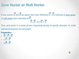 Vectors - A Basic Study | PPSX