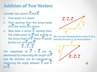 Vectors - A Basic Study | PPSX