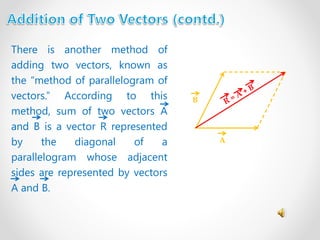 Vectors - A Basic Study | PPSX