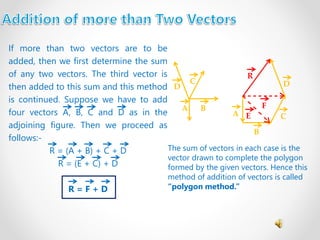 Vectors - A Basic Study | PPSX