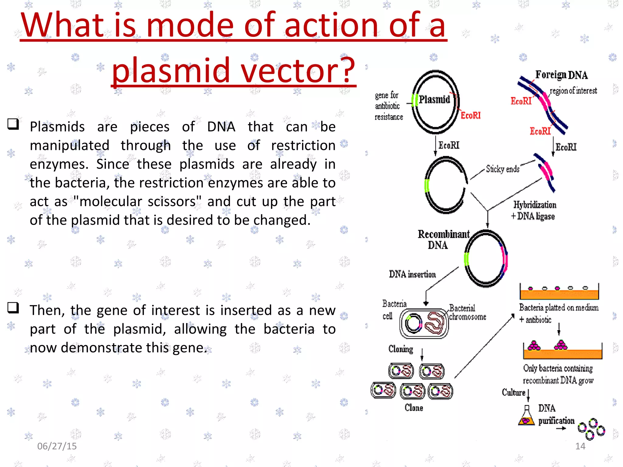 Vectors | PPT