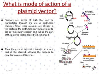 Vectors | PPT