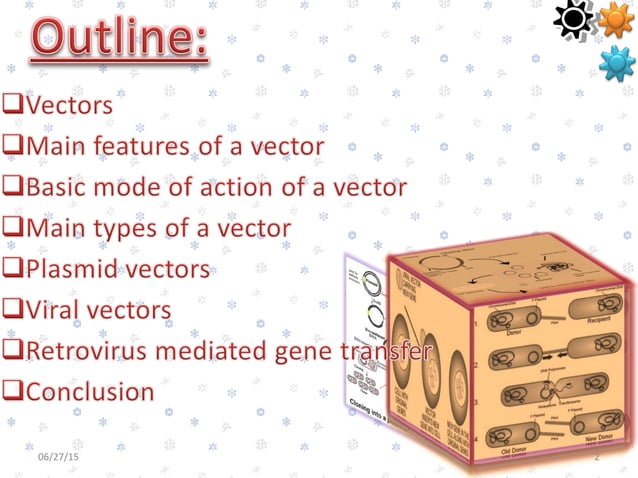Vectors | PPT