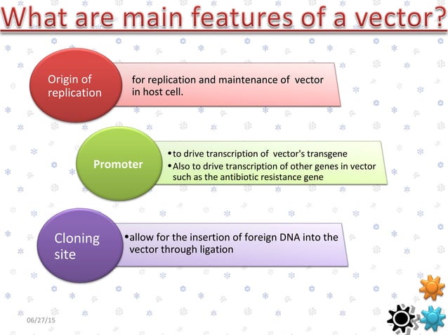 Vectors | PPT