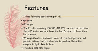 Vectors part 1 | molecular biology | biotechnology | PPTX