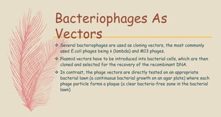 Vectors part 1 | molecular biology | biotechnology | PPTX