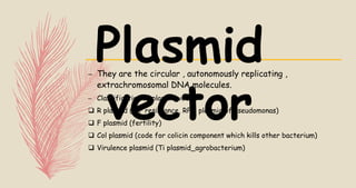 Vectors part 1 | molecular biology | biotechnology | PPTX