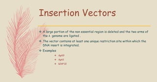 Vectors part 1 | molecular biology | biotechnology | PPTX