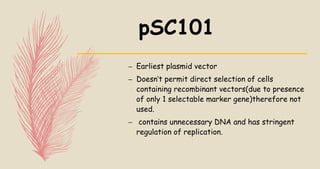 Vectors part 1 | molecular biology | biotechnology | PPTX