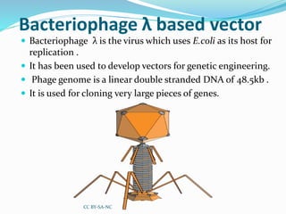 Vectors | PPT