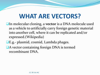 Vectors | PPT