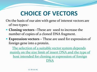 Vectors | PPT