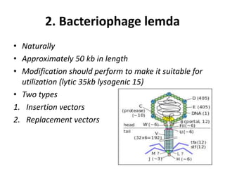 Vectors in Recombenant DNA technology | PPTX