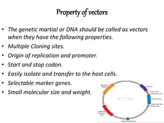 Vectors in Recombenant DNA technology | PPTX