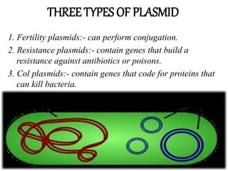 Vectors in Recombenant DNA technology | PPTX