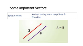 Vectors.pptx