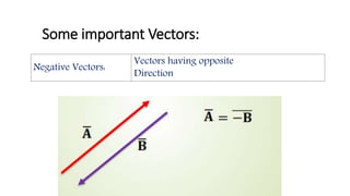 Vectors.pptx