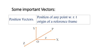 Vectors.pptx