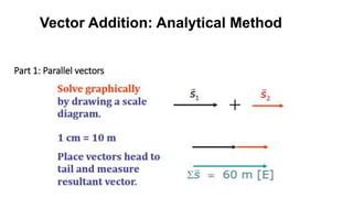 Vectors.pptx