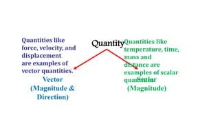 Vectors.pptx