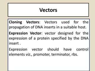 Vectors.pptx