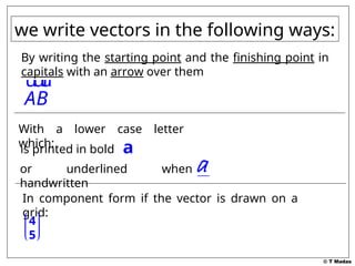 The scalar and Vector presentation for 11th class students | PPT