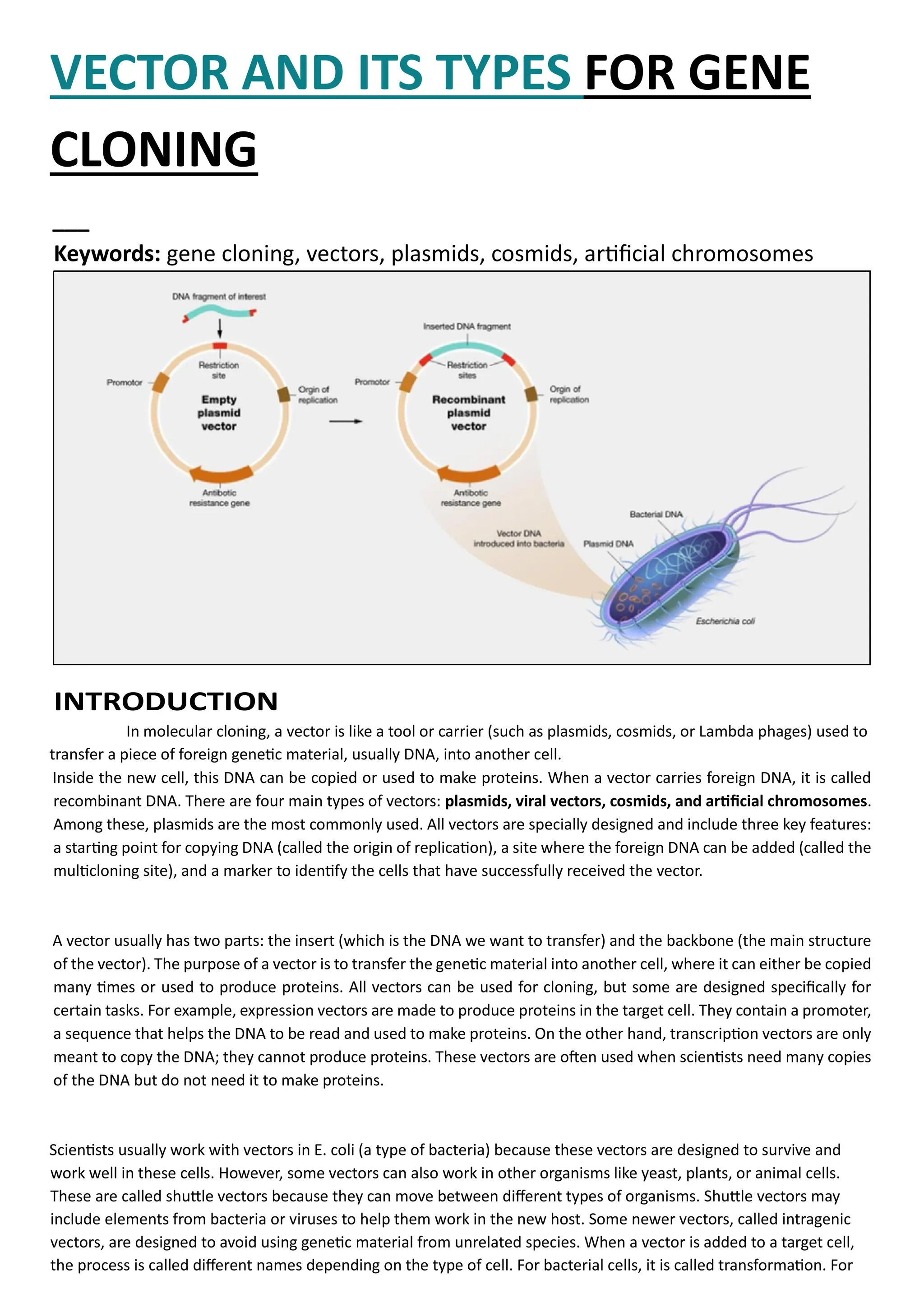 Vectors in Biology: Types, Roles, and Significance in Gene Cloning | PDF
