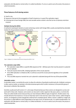 Vectors in Biology: Types, Roles, and Significance in Gene Cloning | PDF