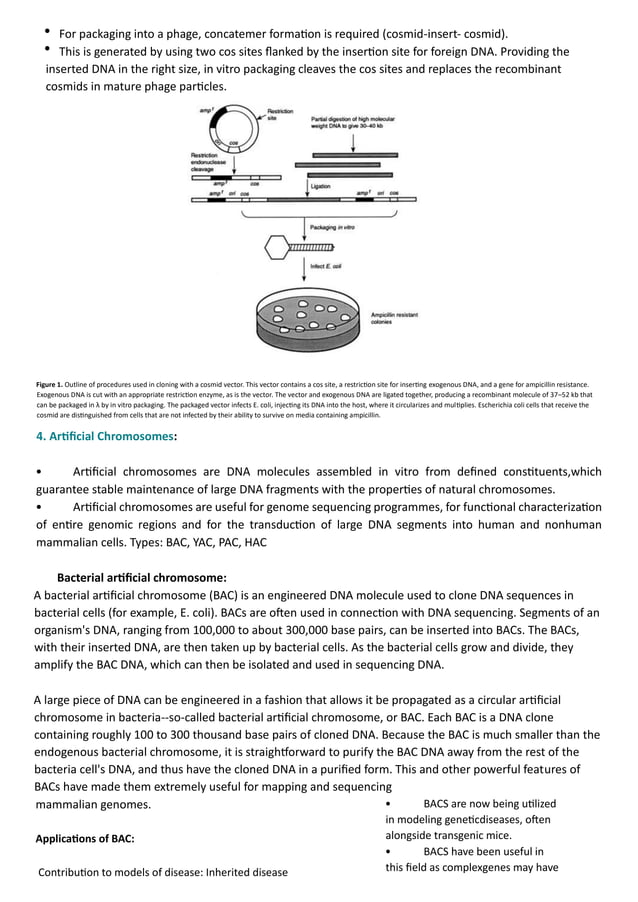 Vectors in Biology: Types, Roles, and Significance in Gene Cloning | PDF