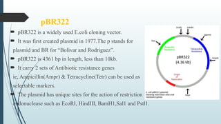 Vectors and applications of genetic engineering Pptx | PPTX