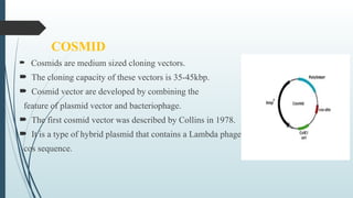 Vectors and applications of genetic engineering Pptx | PPTX