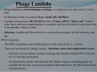 Comprehensive Overview of Plant Genetic Transformation and Cloning ...