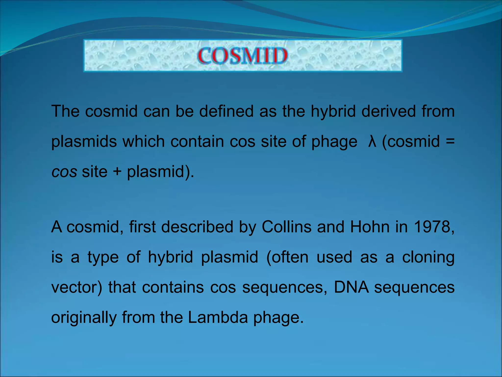 Vectors part 2 | molecular biology | biotechnology | PPT