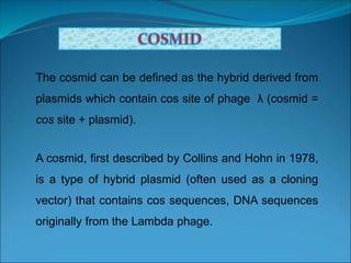 Vectors part 2 | molecular biology | biotechnology | PPT
