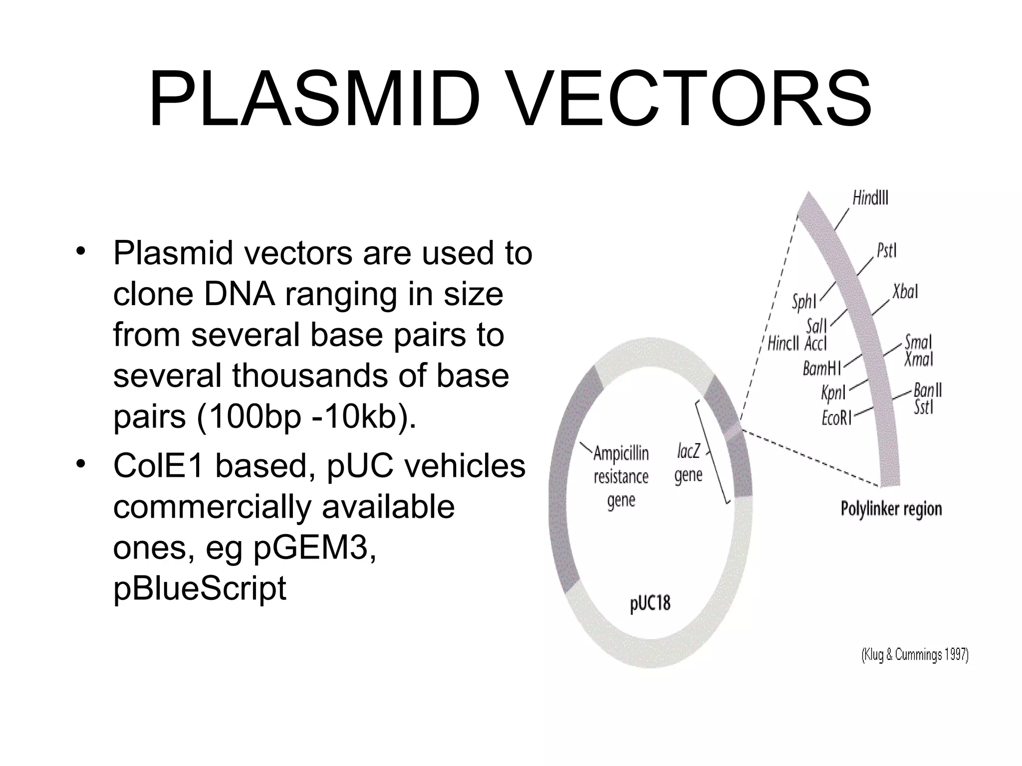 Vectors plasmid, phage and cosmids | PPT