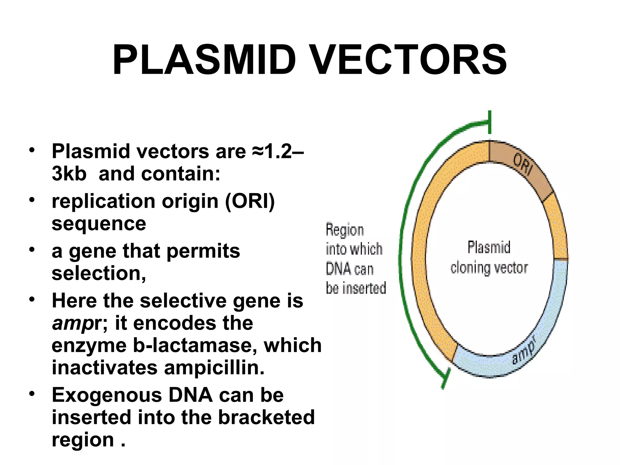 Vectors plasmid, phage and cosmids | PPT