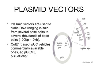 Vectors plasmid, phage and cosmids | PPT