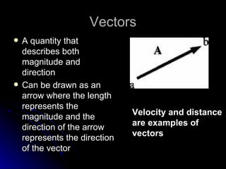 Vectors Scalars 1 | PPT