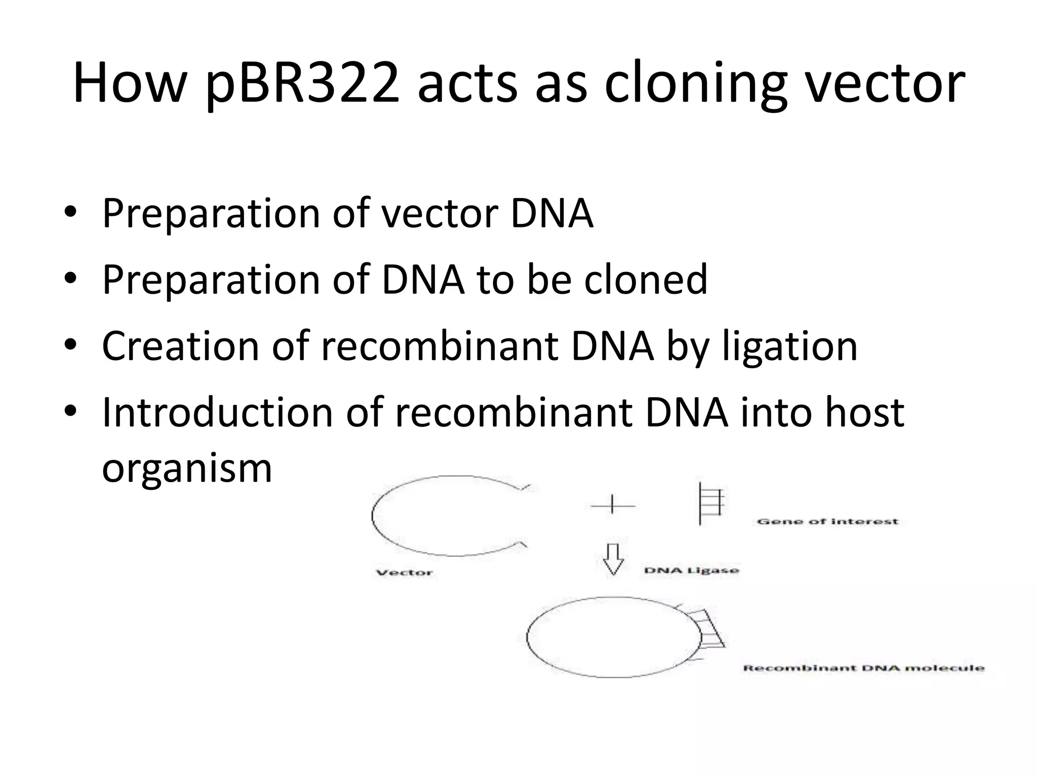Vectors in recombinant dna technology pBR322 | PPTX