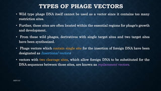 Vectors | PPTX