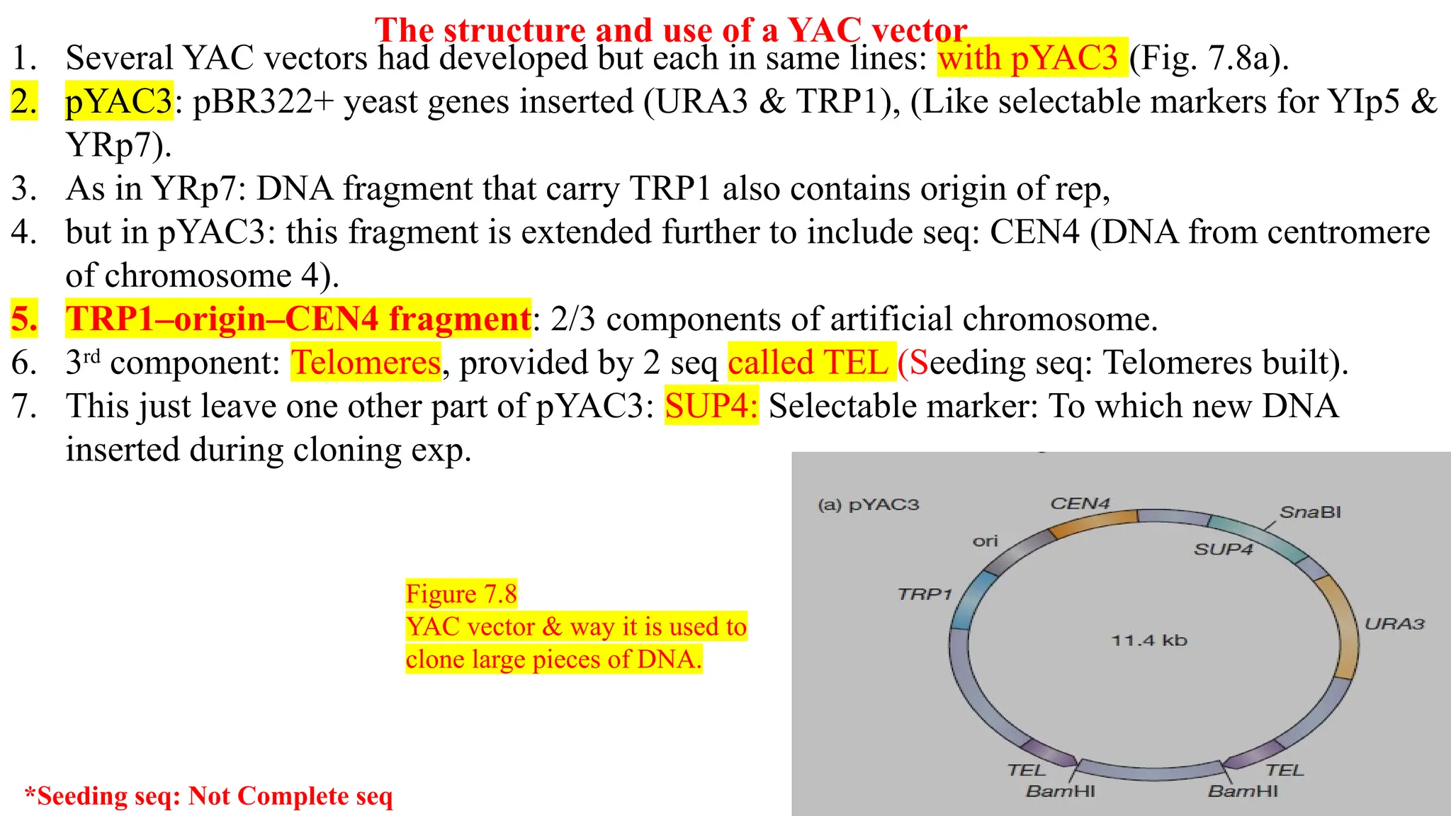 Vectors 2 complete and breif explaintaion | PPTX