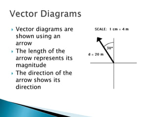 Vectors and scalars | PPT